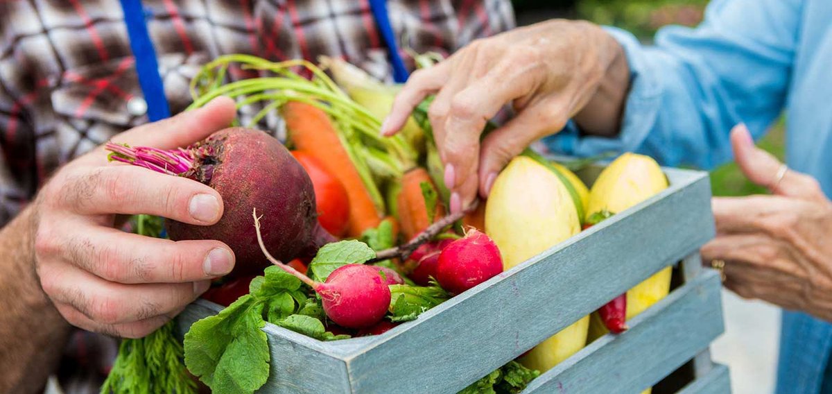 The History of Ole Tyme Produce - Ole Tyme Produce