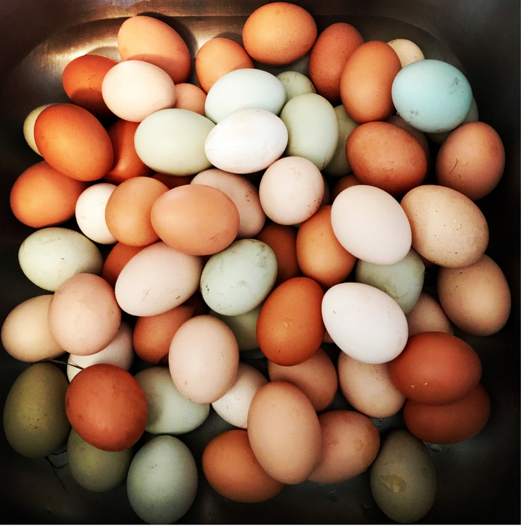 Ben Roberts Eggs - Ole Tyme Produce